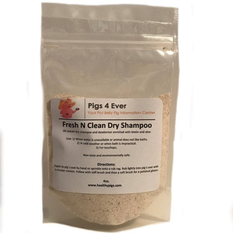 Pigs4Ever - Your One Stop Pet Pig Shop | Home of Healthy Pigs